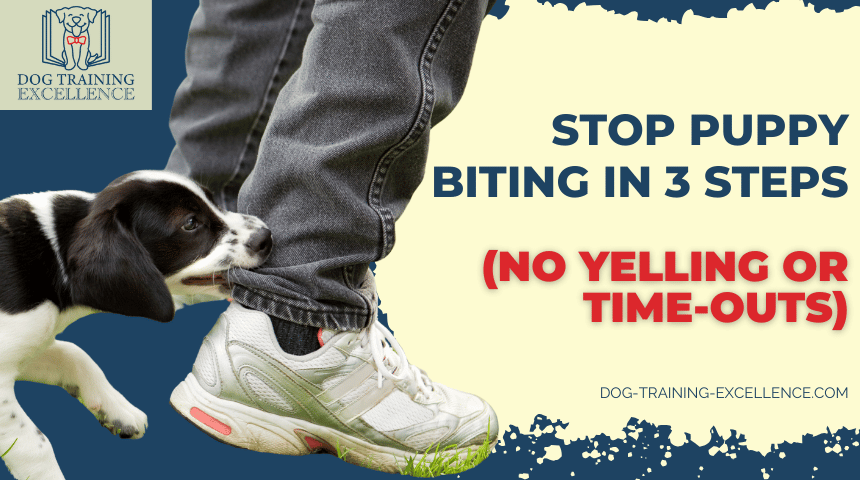 Stop Puppy Biting in 3 Easy Steps