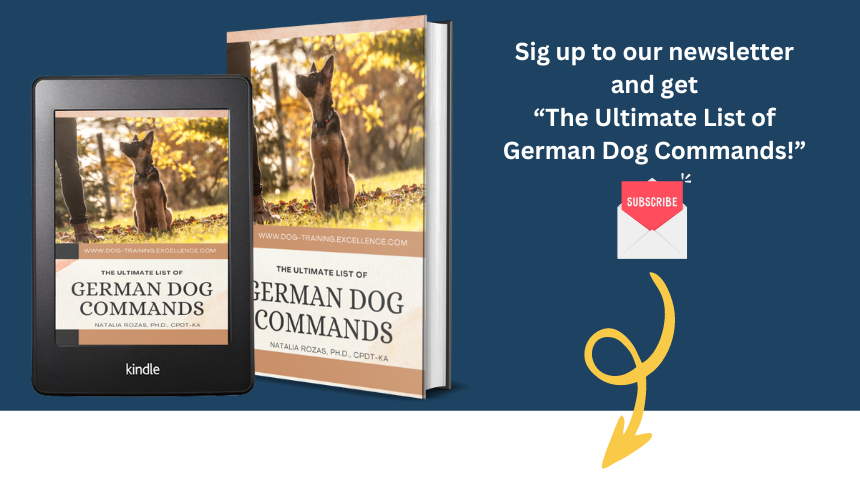 70+ German Dog Commands to Train your Dog (Free PDF)