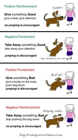 Dog Training Hand Signals - A picture instructional guide