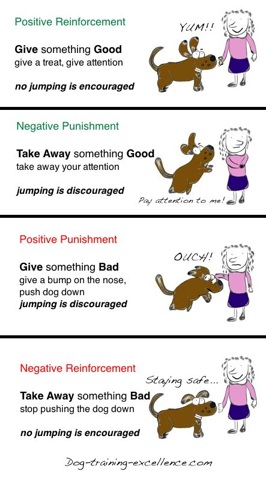 Dog Obedience Hand Signals Chart